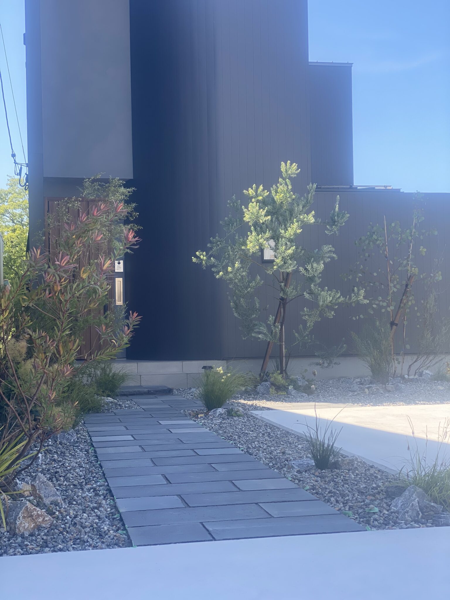 IMG_3030 – So-garden