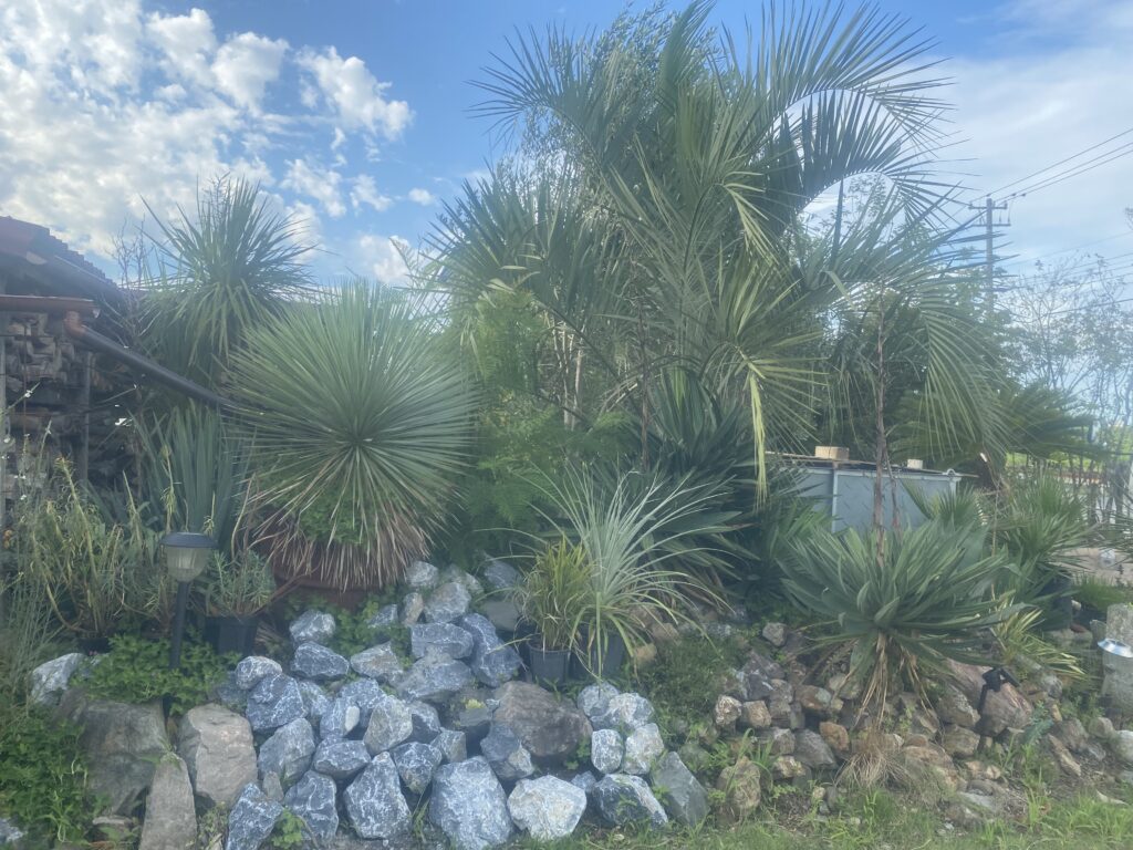 IMG_3196 – So-garden