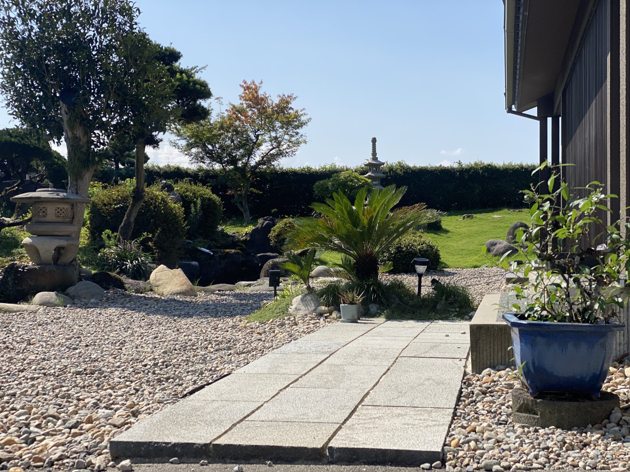 IMG_3614 – So-garden